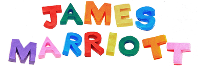 James Marriott | Official Website